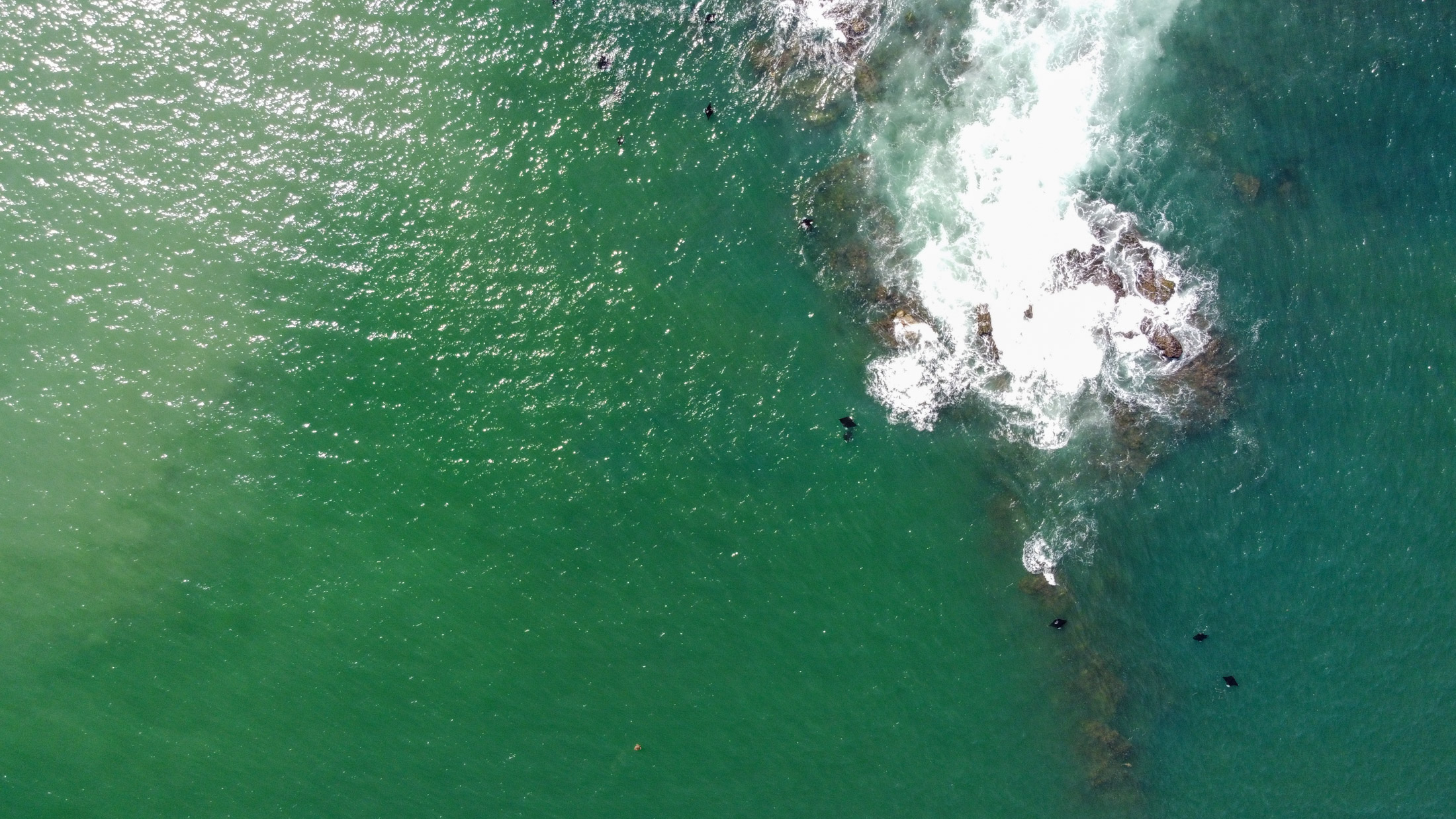 Above Taiohae Bay - Bumfuzzle