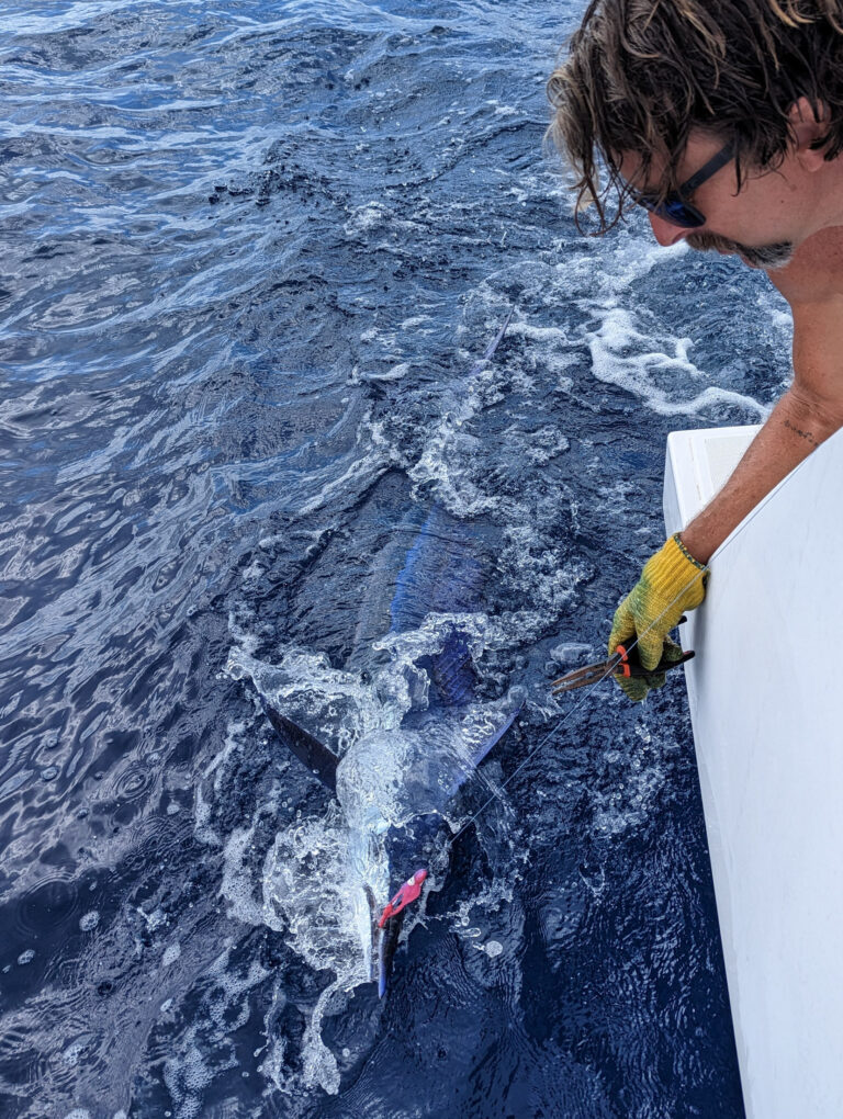 Sailing/Motoring to the Tuamotus - Bumfuzzle