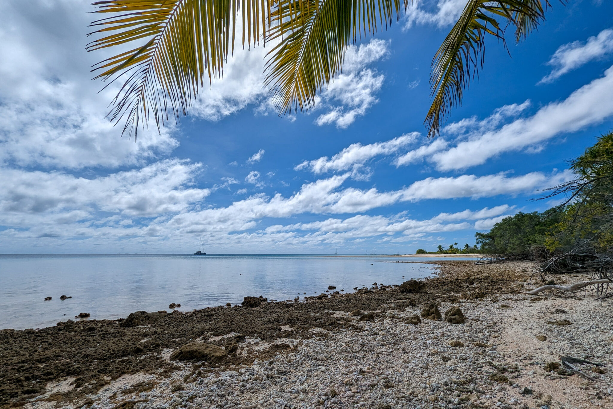Makemo Atoll - Bumfuzzle