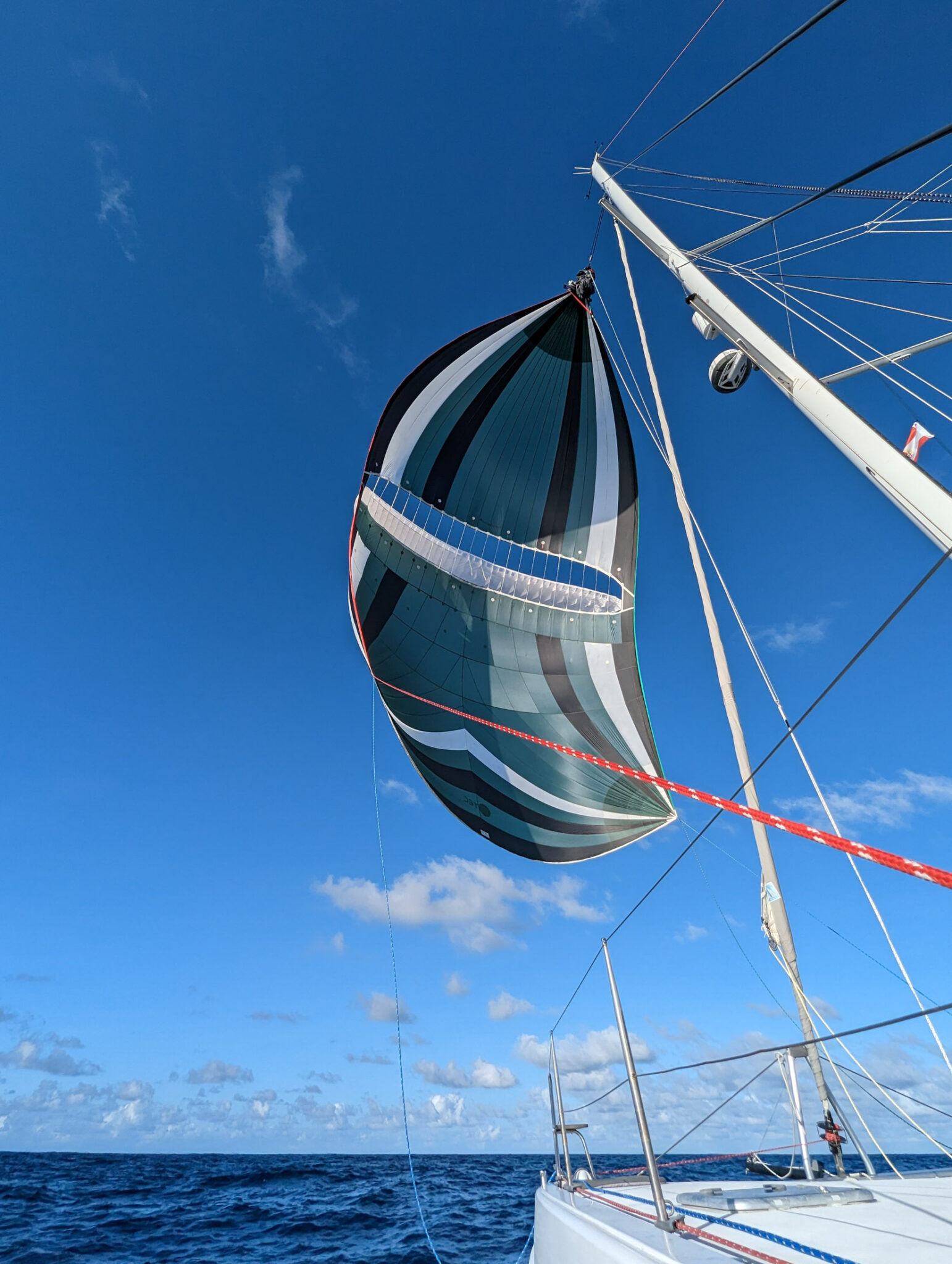 Sailing/Motoring to the Tuamotus - Bumfuzzle